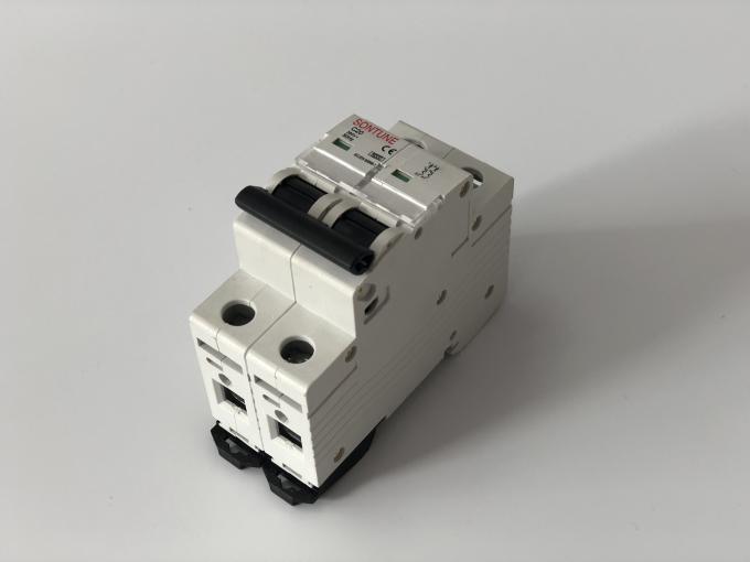 Double Pole 6KA MCB Circuit Breaker Type B With Overload Protection